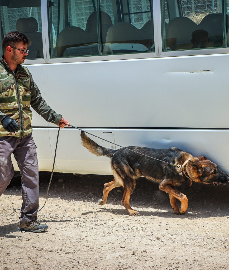 Explosive Detection / Advance Course – Jordan National K9 Center